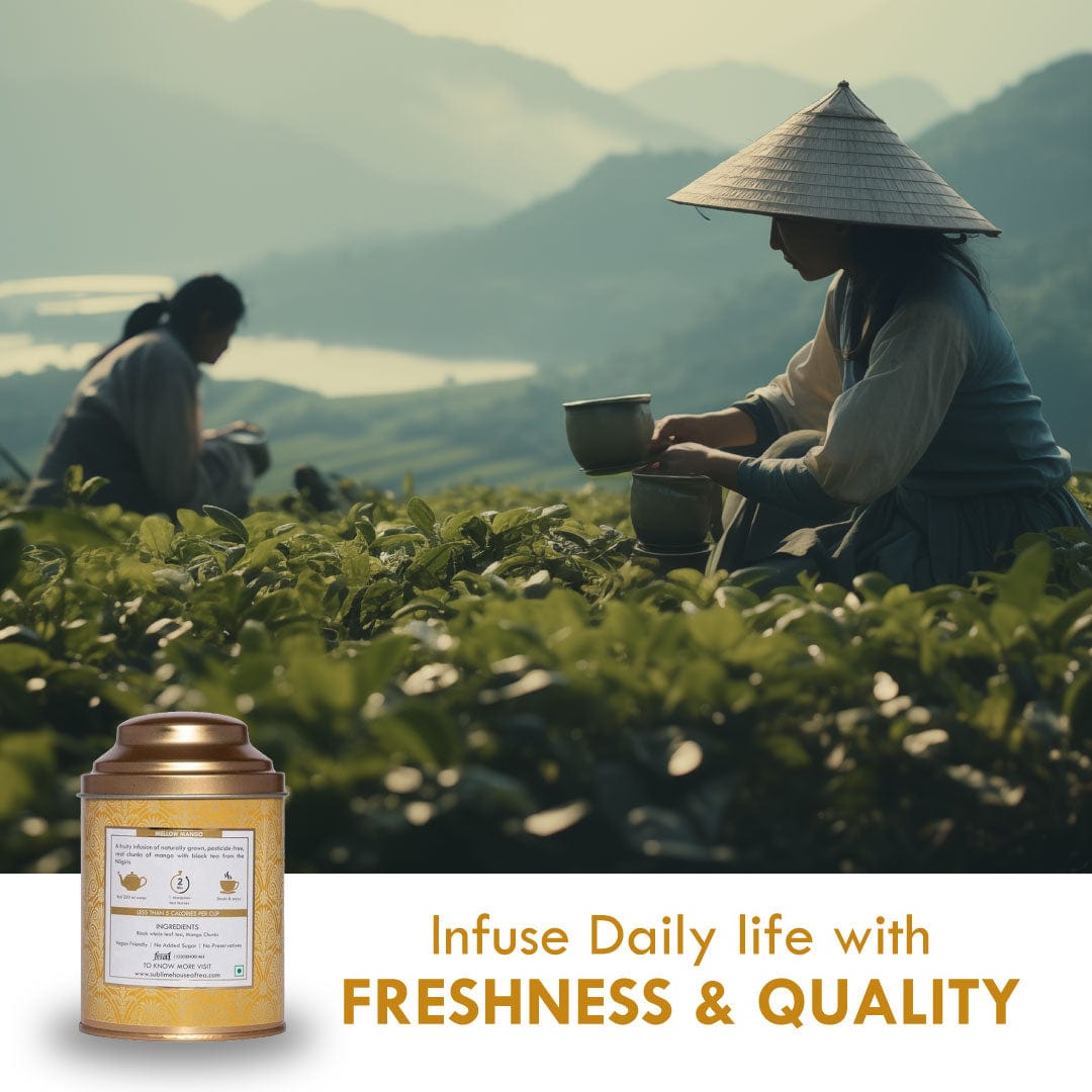 Shop Mellow Mango Tea Online | Loose Leaf Black Tea | Sublime
